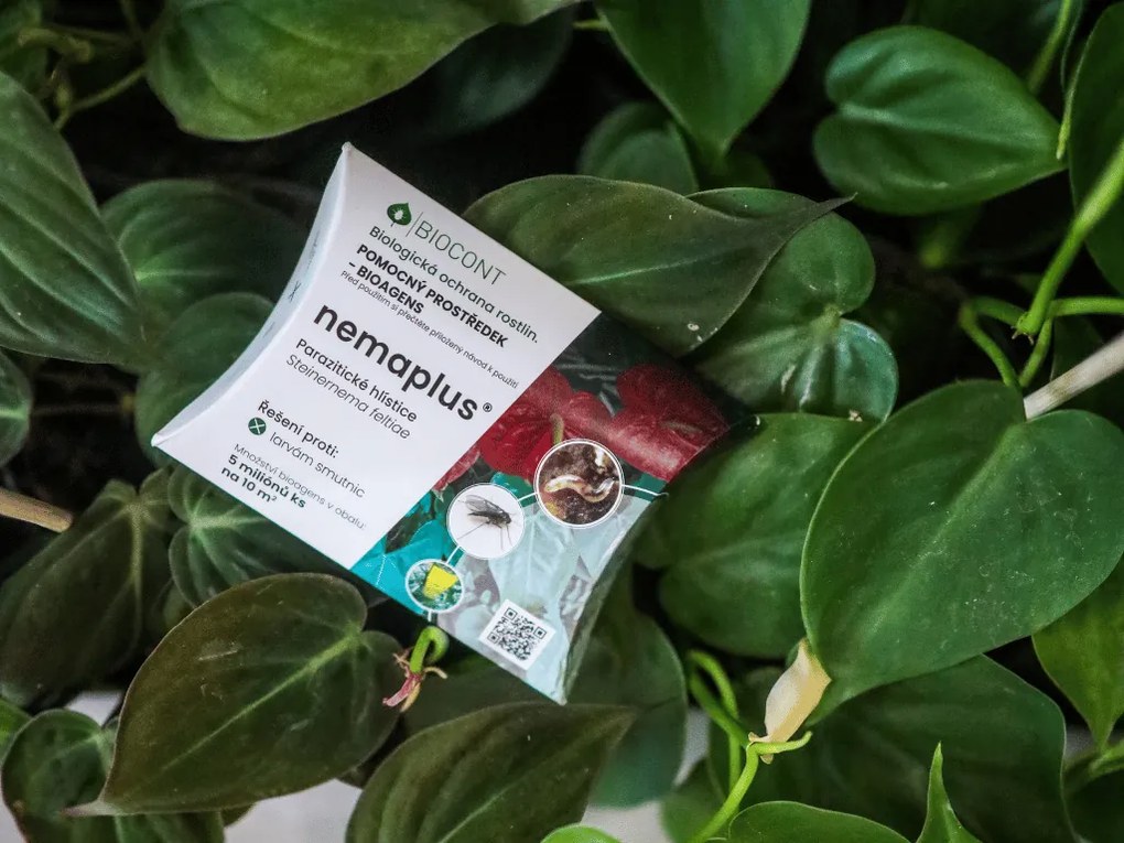 Parazitické hlístice proti smutnicím (5 milionů) - Nemaplus