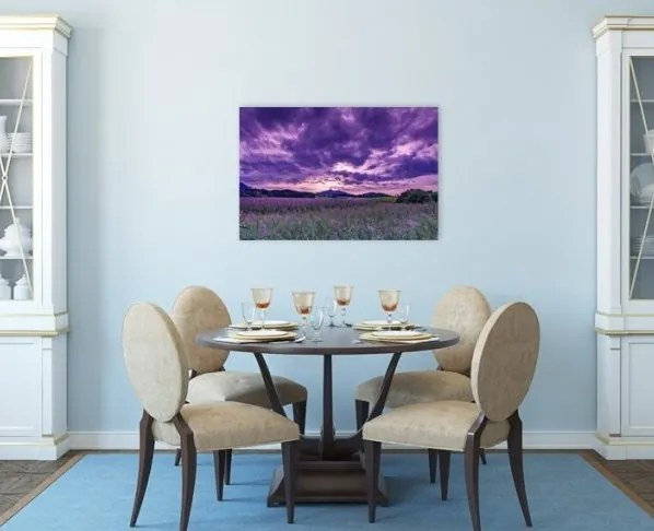 Malvis ® Obraz na plátně Levandulové království Velikost (šířka x výška): 90x60 cm
