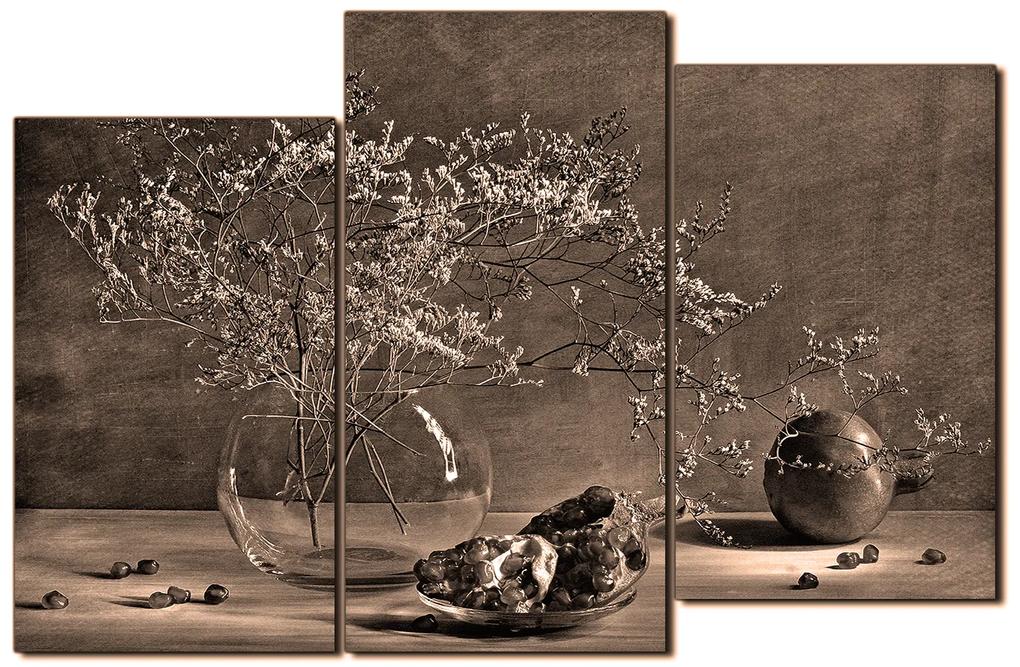 Obraz na plátně - Zátiší - větev a granátové jablko 1274FD (120x80 cm)