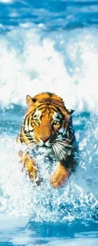 Fototapeta Bengal Tiger, rozměr 86 cm x 200 cm, fototapety W+G 590