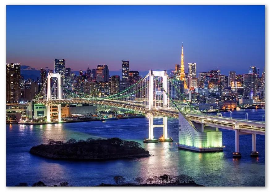 Wallmuralia Foto obraz sklo tvrzené Most v Tokio 100x70 cm
