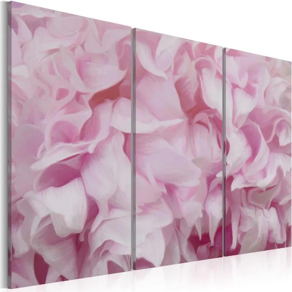 Obraz na plátně Bimago - Azalea v růžové 60x40 cm