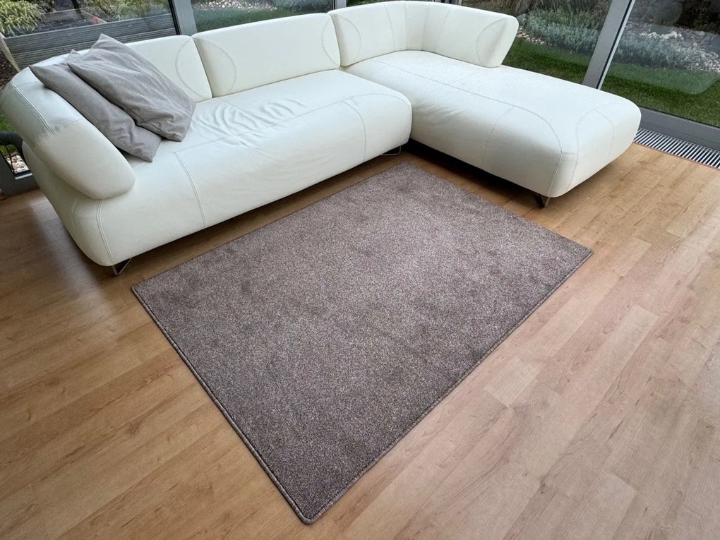 Vopi, Kusový koberec Apollo Soft hnědý, 250x350, hnědá, obývací pokoj
