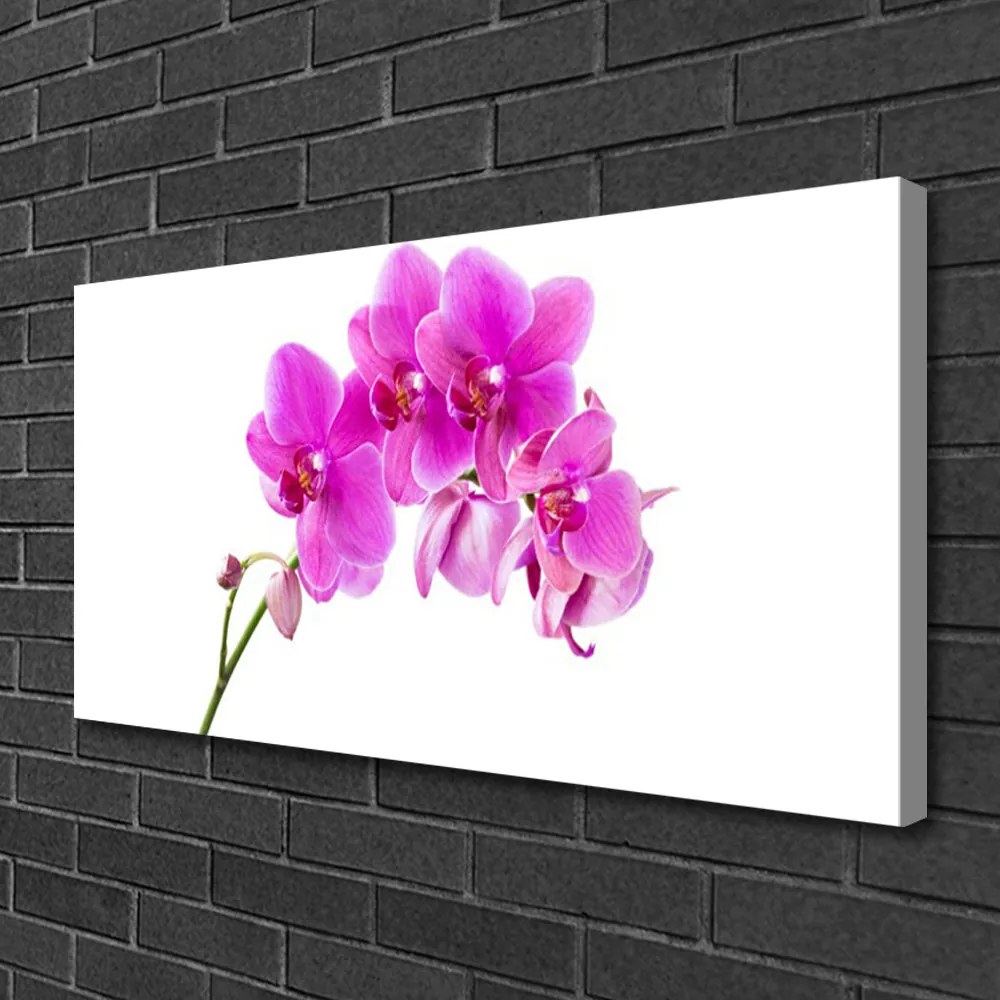 Obraz na plátně Vstavač Květ Orchidej 125x50 cm