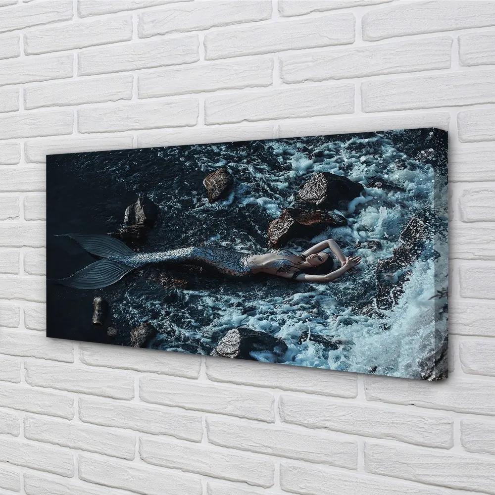 Obrazy na plátně mořská siréna 100x50 cm