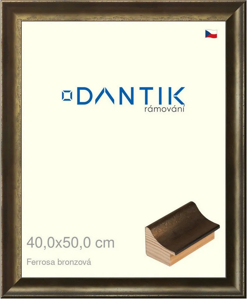 DANTIK rámeček 40x50 | Ferrosa bronzová (Plexi Čiré)