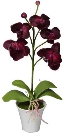 Umělá Orchidej v květináči tmavě červená, 35 cm