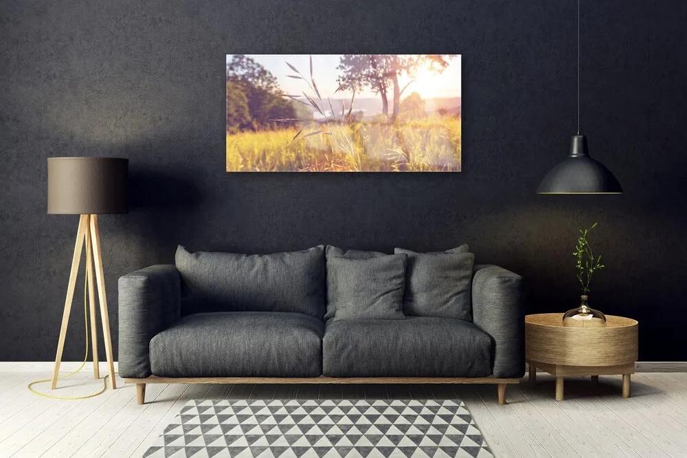 Obraz na skle Louka Tráva Strom Příroda 140x70 cm