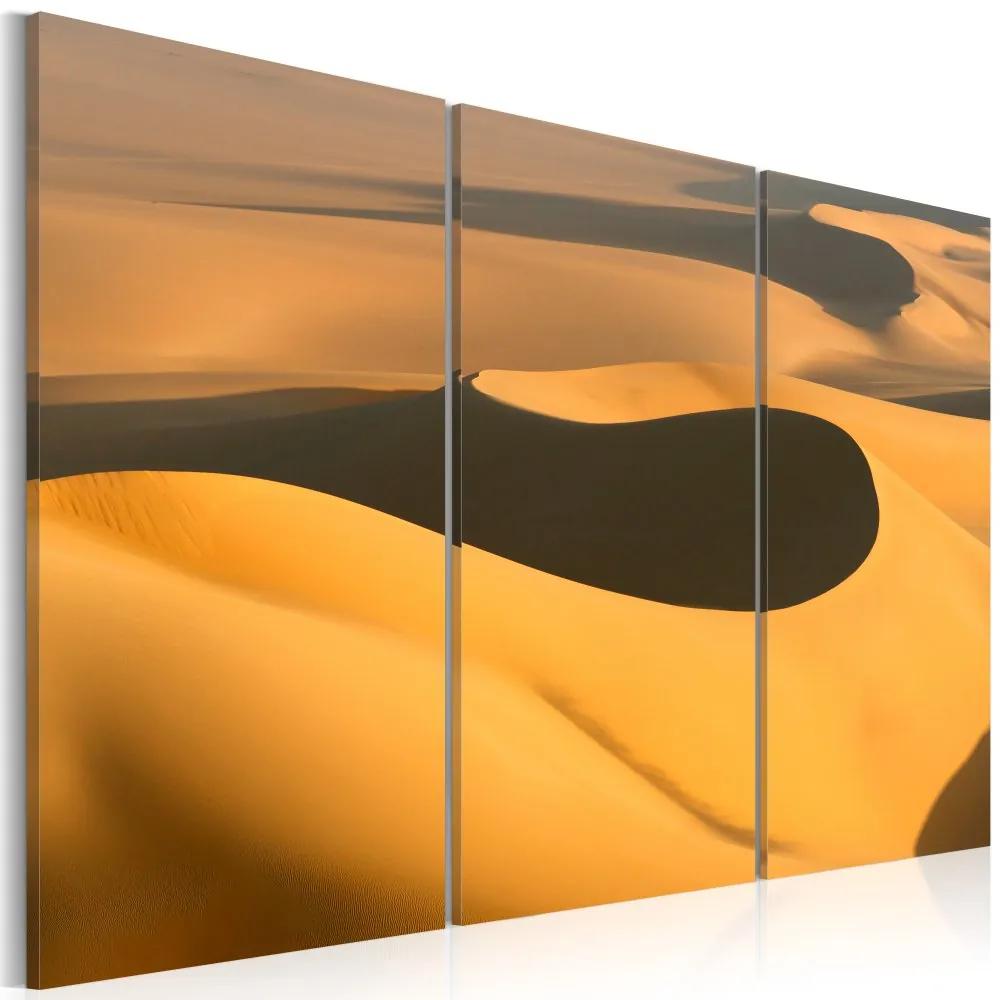Obraz na plátně Bimago - Nekonečná poušť 60x40 cm