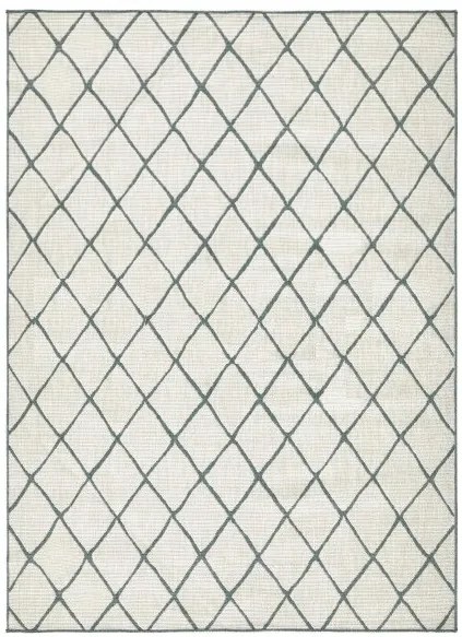 NORTHRUGS - Hanse Home koberce Kusový koberec Twin-Wendeteppiche 103117 grün creme – na ven i na doma - 80x250 cm