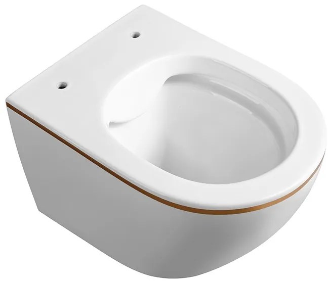 BPS-koupelny Závěsná WC mísa se SoftClose sedátkem HYD-4148, bílá/zlatý proužek