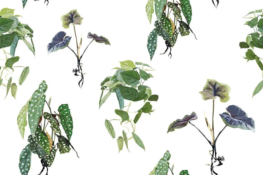 Samolepící tapeta půvabné zelené listy