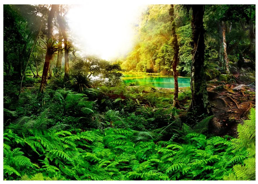 Fototapeta - Tropický prales 200x140 + zdarma lepidlo