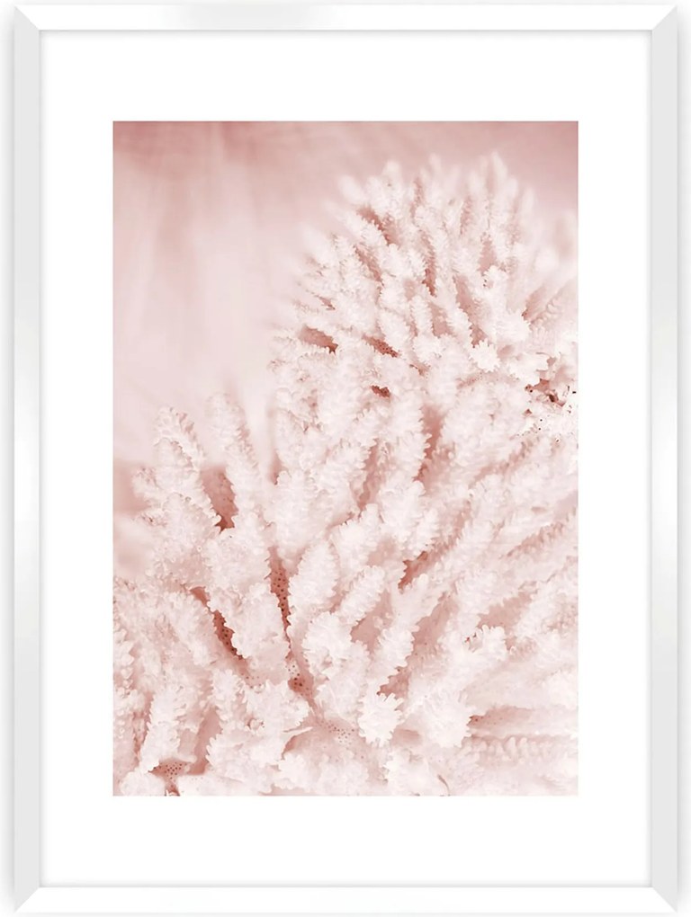 Plakát Pastel Pink II