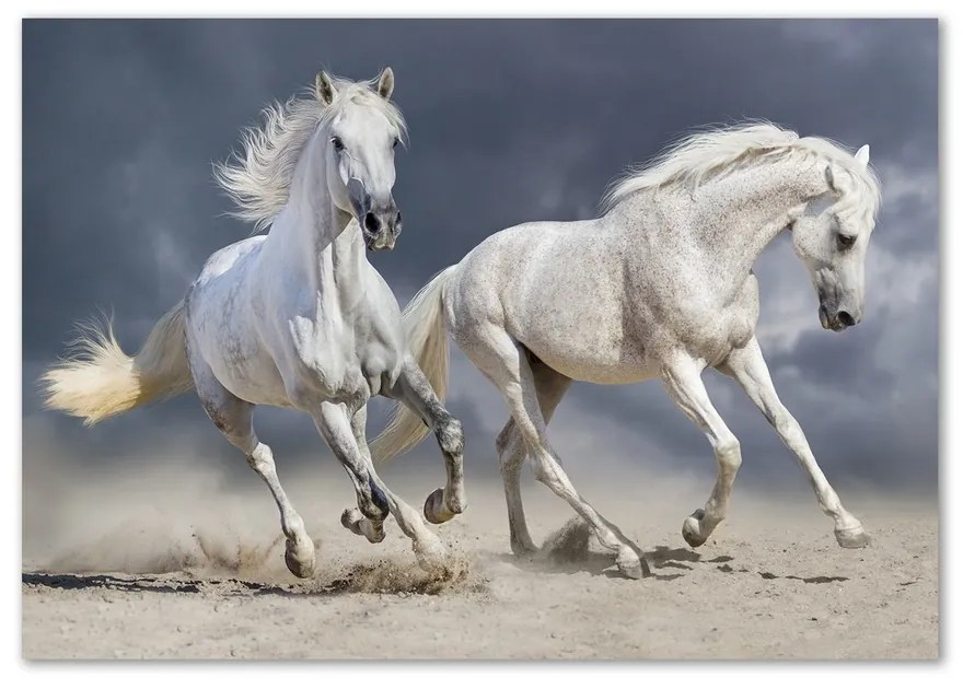 Wallmuralia Fotoobraz skleněný na stěnu do obýváku Bílí koně pláž 100x70 cm