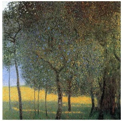 Reprodukce obrazu Gustav Klimt - Fruit Trees, 45 x 45 cm