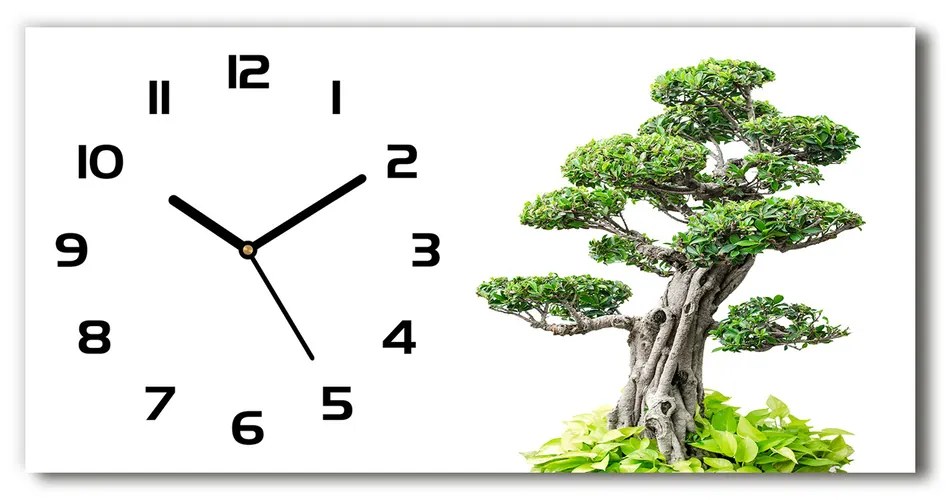 Wallmuralia Skleněné hodiny na stěnu tiché Strom bonsai 60x30 cm