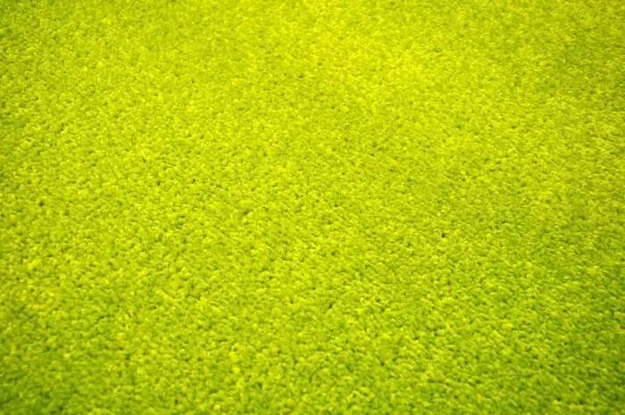 Eton zelený koberec kulatý (Varianta: průměr 400 cm)