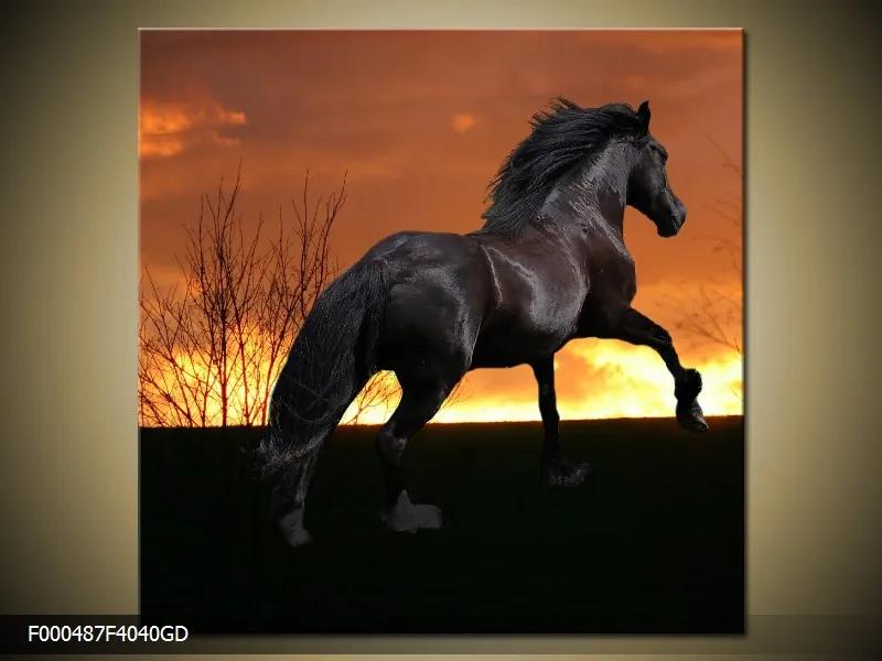 Obraz koně (), 40 dalších rozměrů