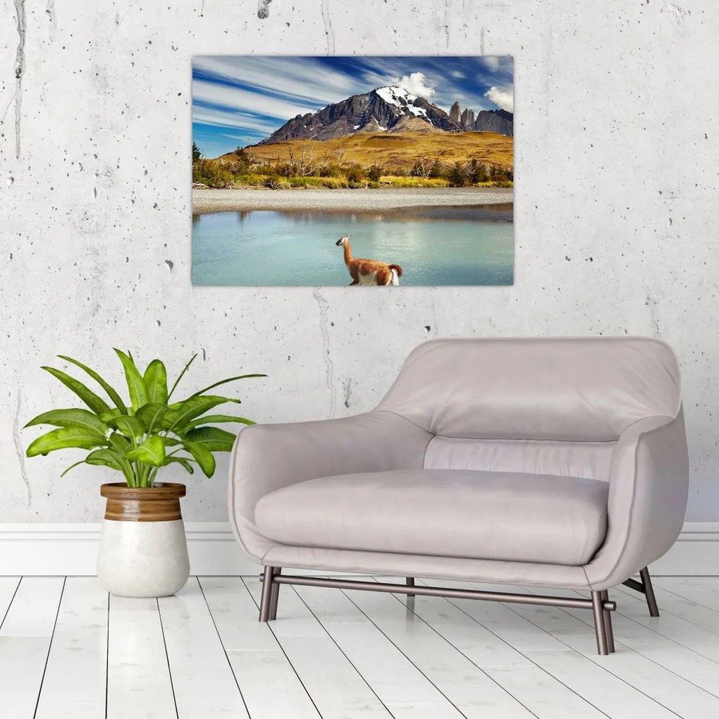 Obraz - Národní park Torres del Paine (70x50 cm)
