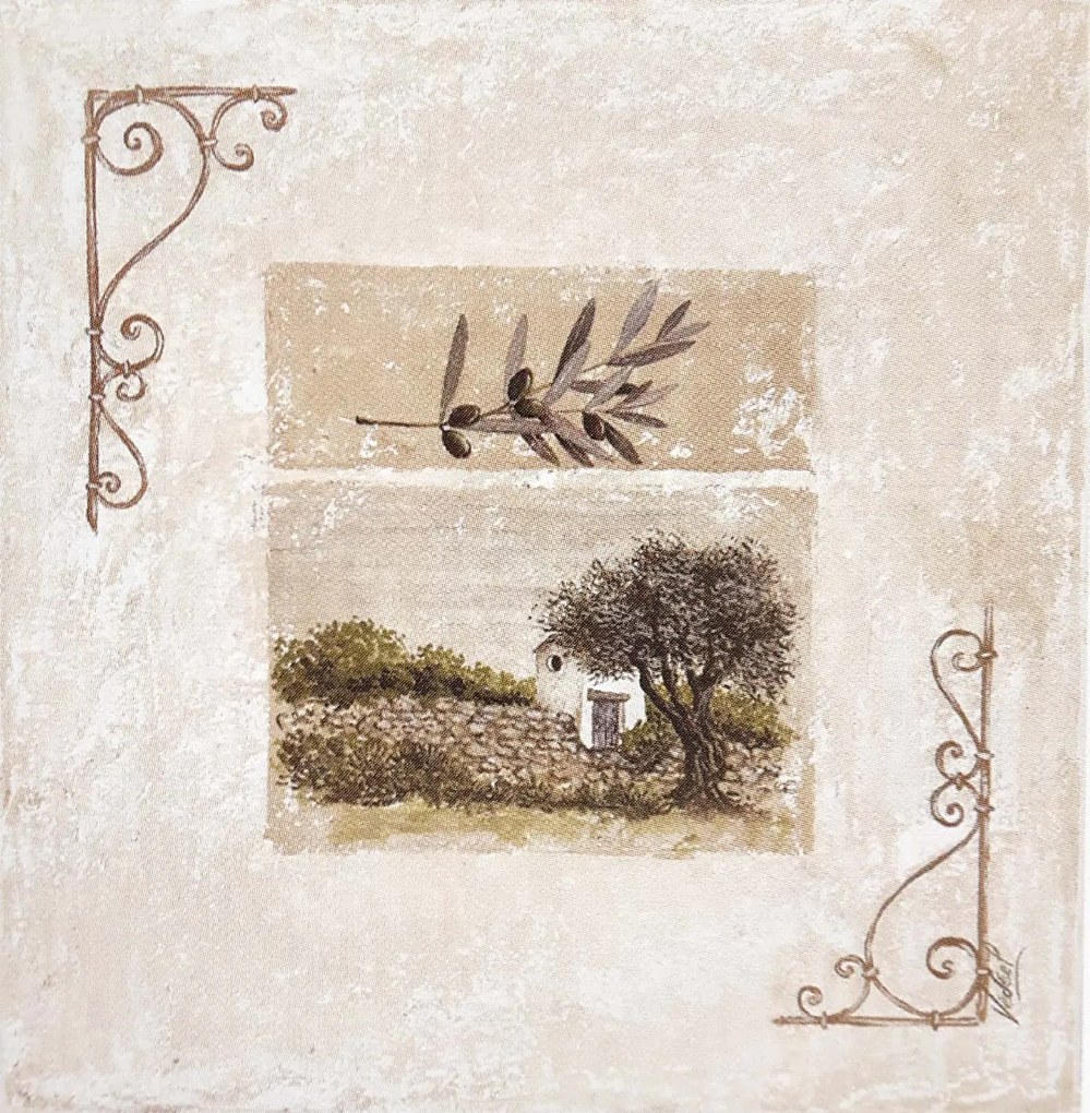 ART-STYLE Obrázek 30x30, bílý domeček, rám sv. dub - červotoč
