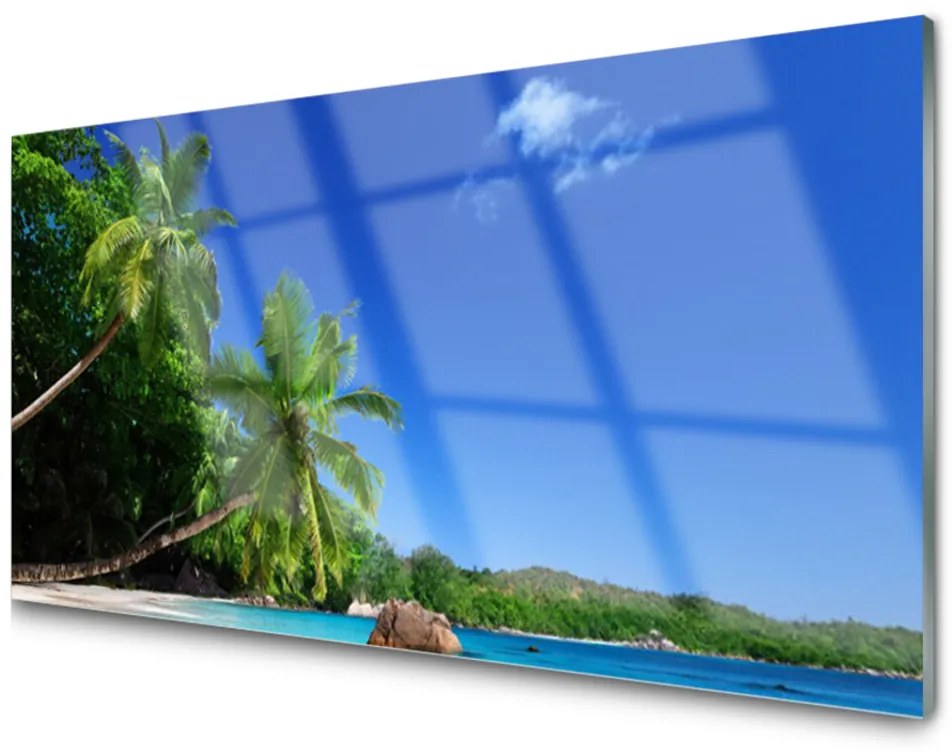 Plexisklo obraz Palma Stromy Pláž Krajina