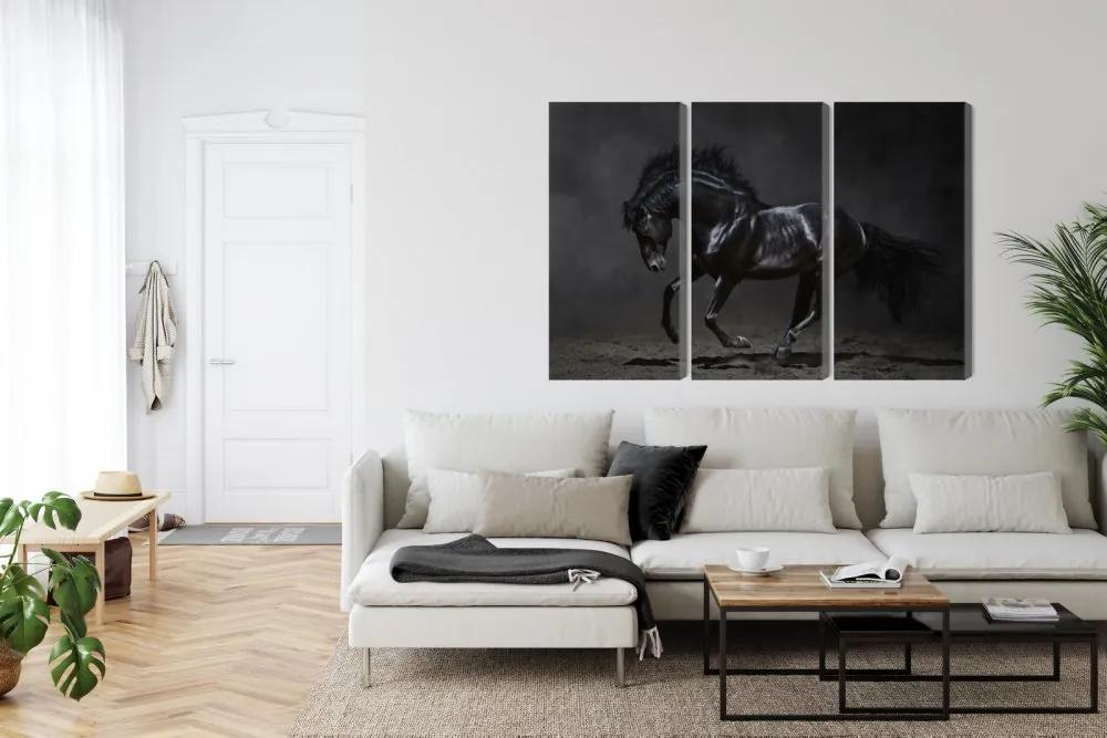 Vícedílný obraz Černý Kůň Ve Cvalu Nedostatek Nedostatek Přírodní plátno 60x40