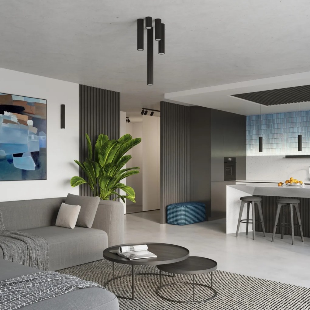 Sollux Lighting Stropní svítidlo KARBON 20 černé
