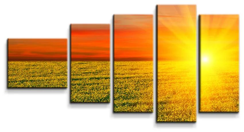 Sablio Obraz - 5-dílný Západ slunce nad loukou - 100x60 cm