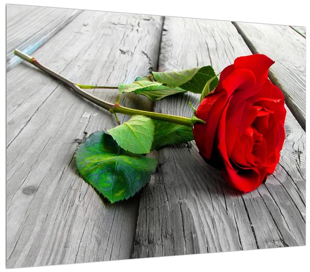 Obraz červené růže (70x50 cm)
