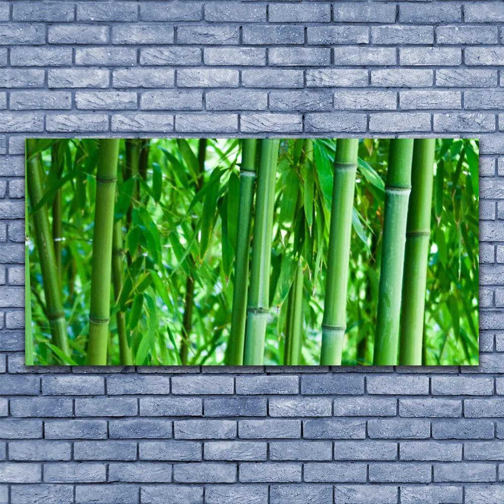 akrylový obraz Bambus Stonek Rostlina 120x60 cm