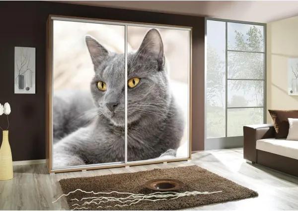 PENY skříň, posuvné dveře s grafickým potiskem - kočka