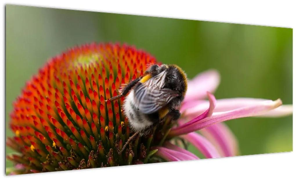 Obraz včely na květu (100x40cm)
