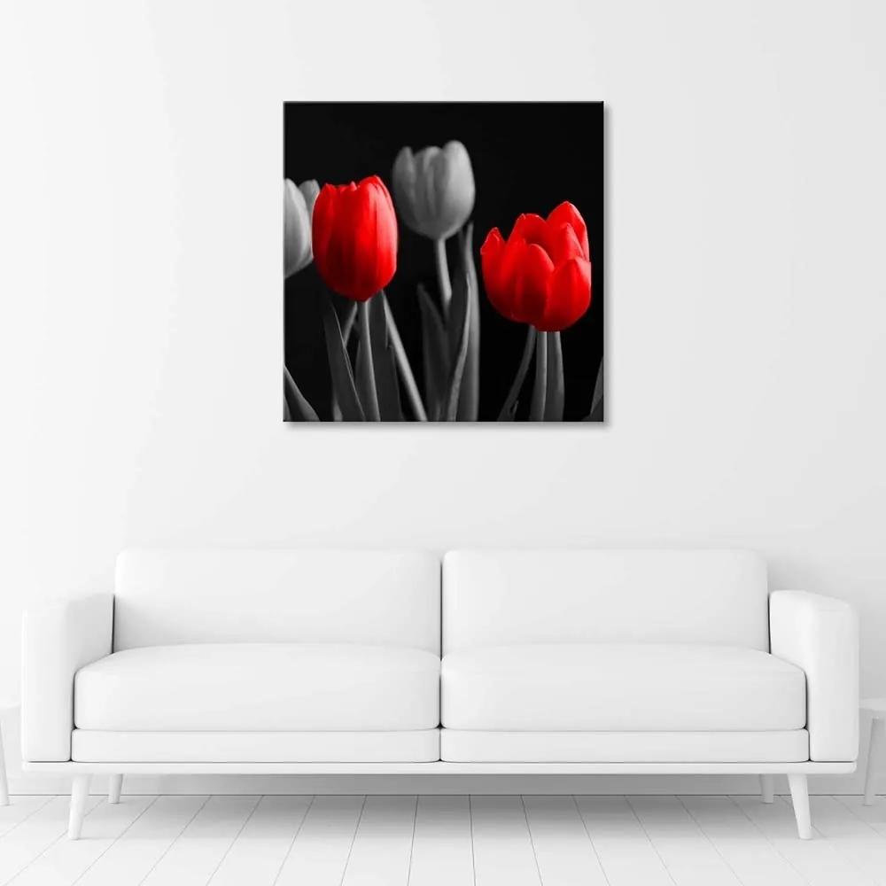 Obraz na plátně Květina Tulipány Červená šedá - 30x30 cm
