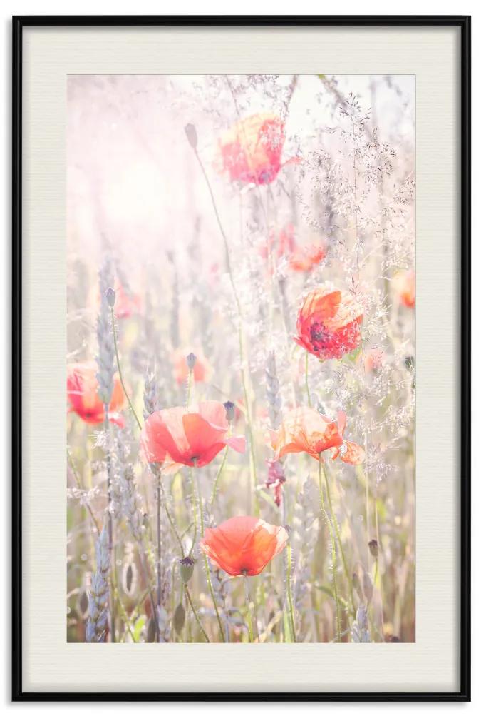 Plakát Letní louka - barevná kompozice v červených mácích mezi polními květinami
