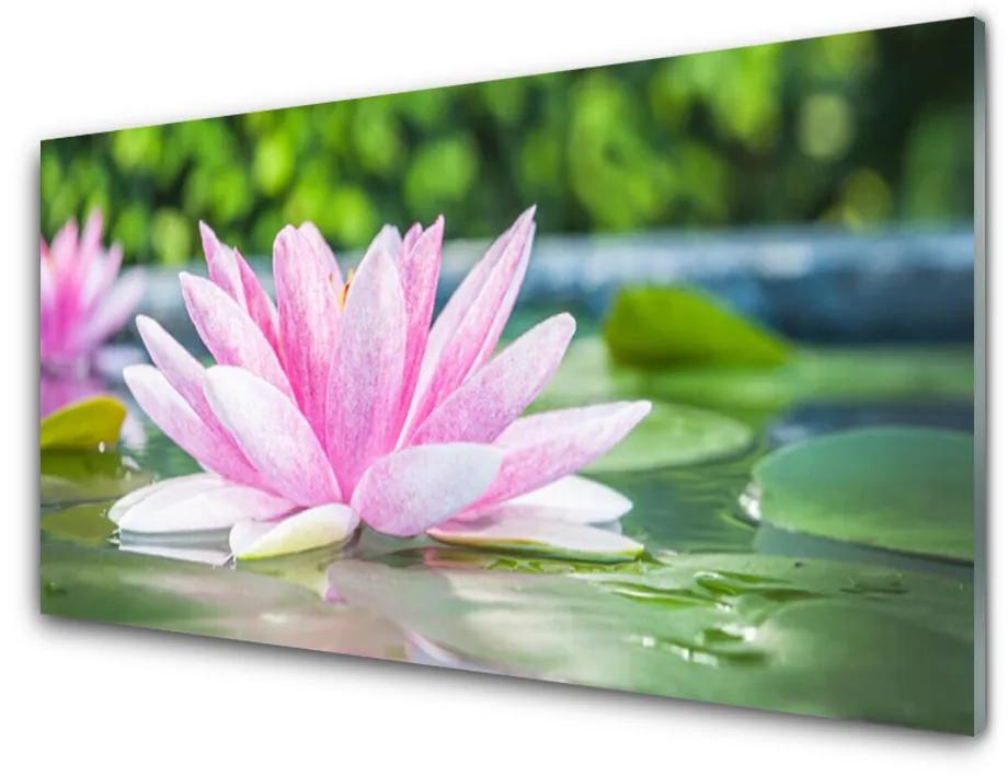 Obraz na skle Vodní Lilie Rybník Příroda 125x50 cm