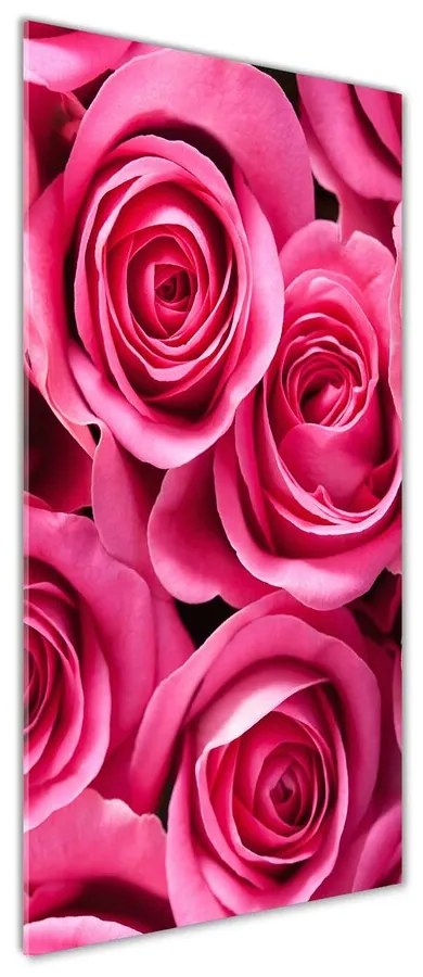 Wallmuralia Moderní akrylový fotoobraz Růžové růže 50x125 cm