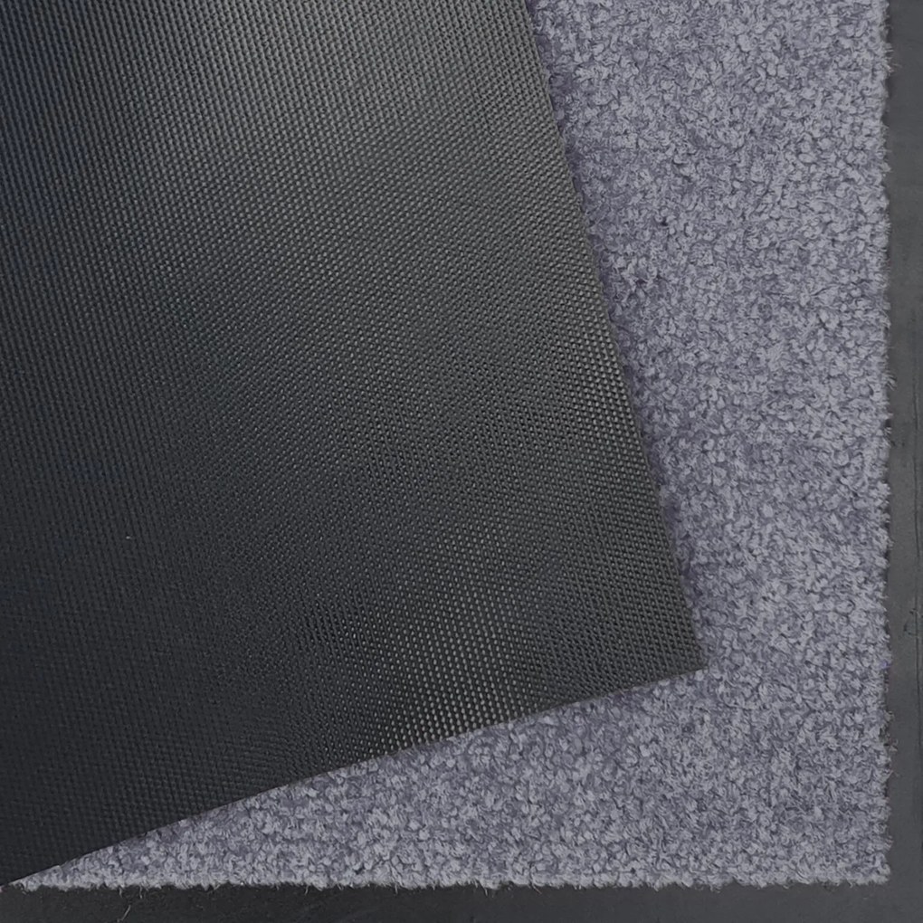 Hanse Home, Rohožka Wash & Clean 101464 Grey, 60x180, šedá, chodba / předsíň