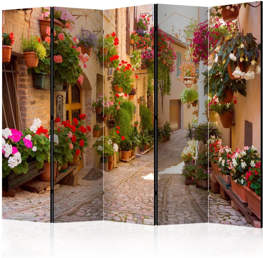 Paraván - The Alley in Spello (Italy) II [Room Dividers] 225x172