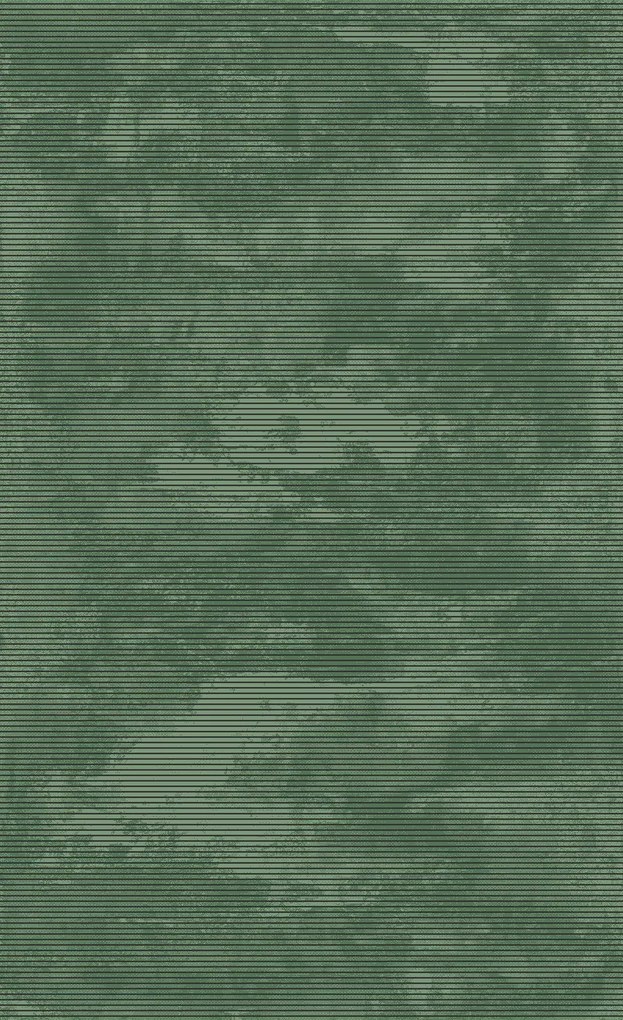 BE Koberec Eforia 9551 GREEN - zelený obdélníkový Rozměr: 60x100 cm