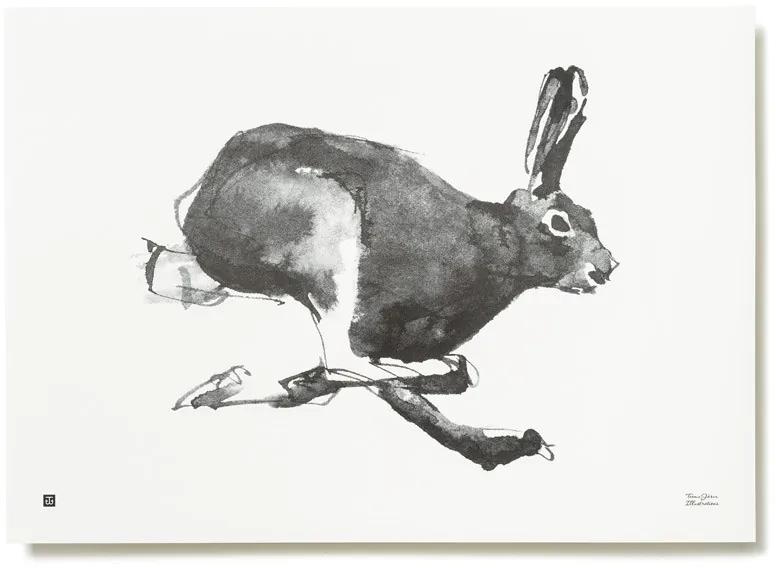 Plakát Mountain Hare 70x50