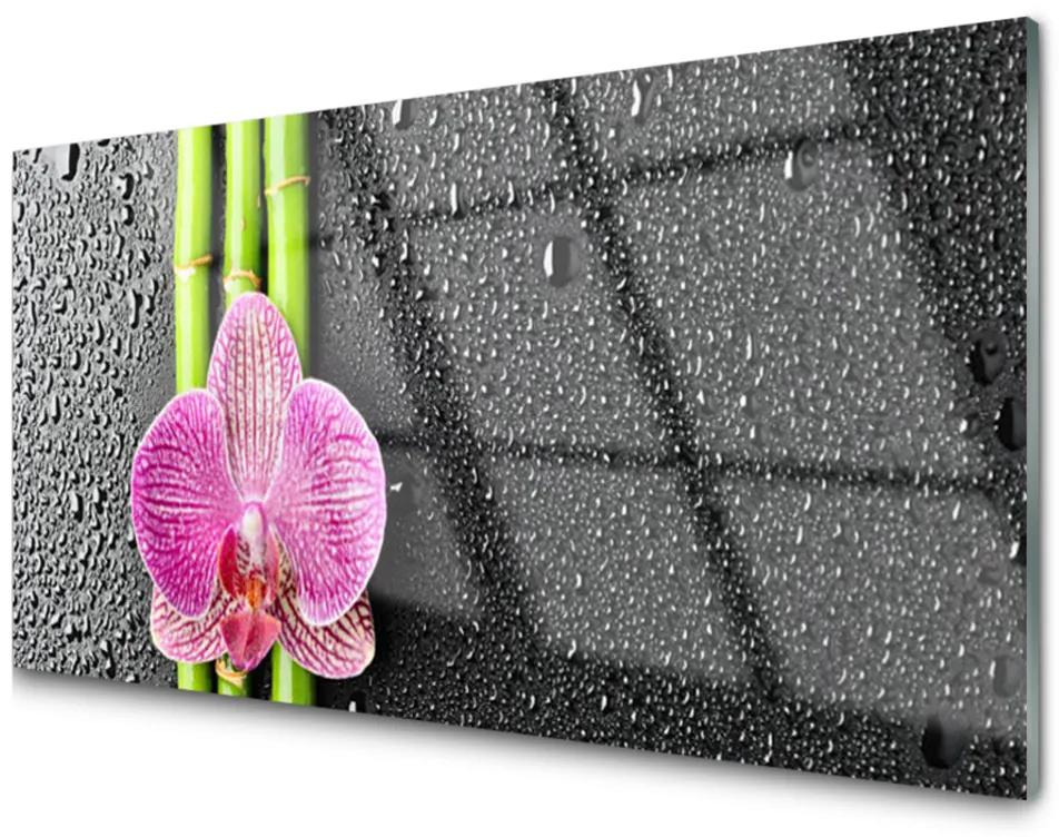 Plexisklo obraz Bambus Květ Rostlina Příroda