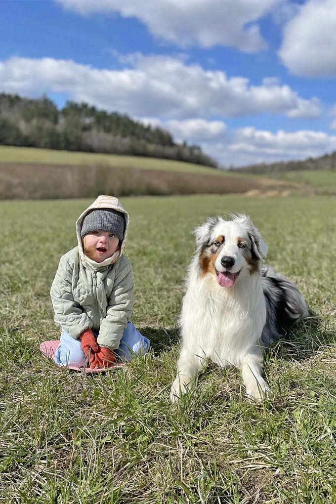 VYLEN Skládací podsedák SIT-IT Barva: 12 Zlatá