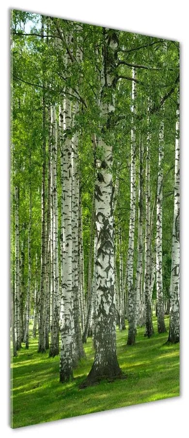 Wallmuralia Foto obraz sklo tvrzené Břízový les 50x125 cm