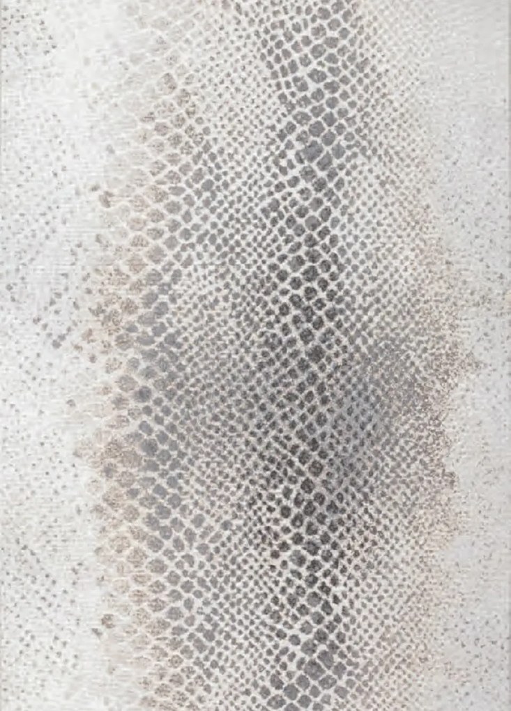 Koberce Breno Kusový koberec PIAZZO 12263/910, Béžová, Vícebarevné, 60 x 120 cm