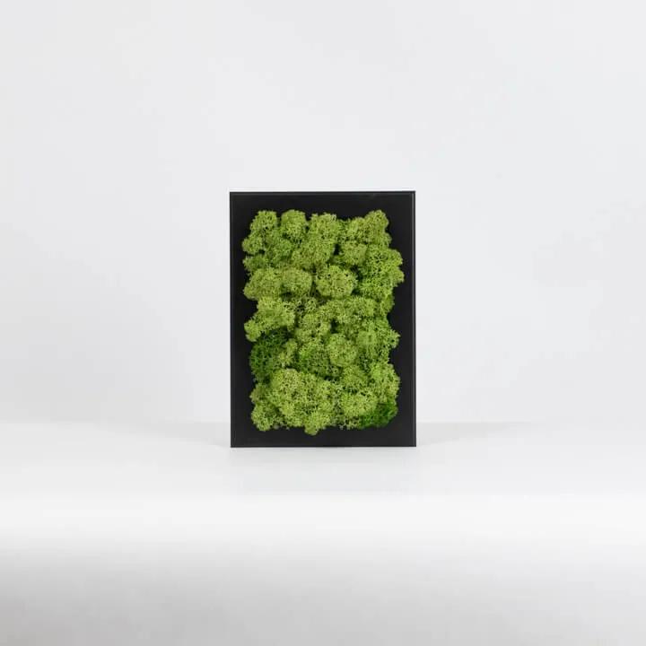Mechový miniobraz | 15x10 cm | středně zelený - černý rám