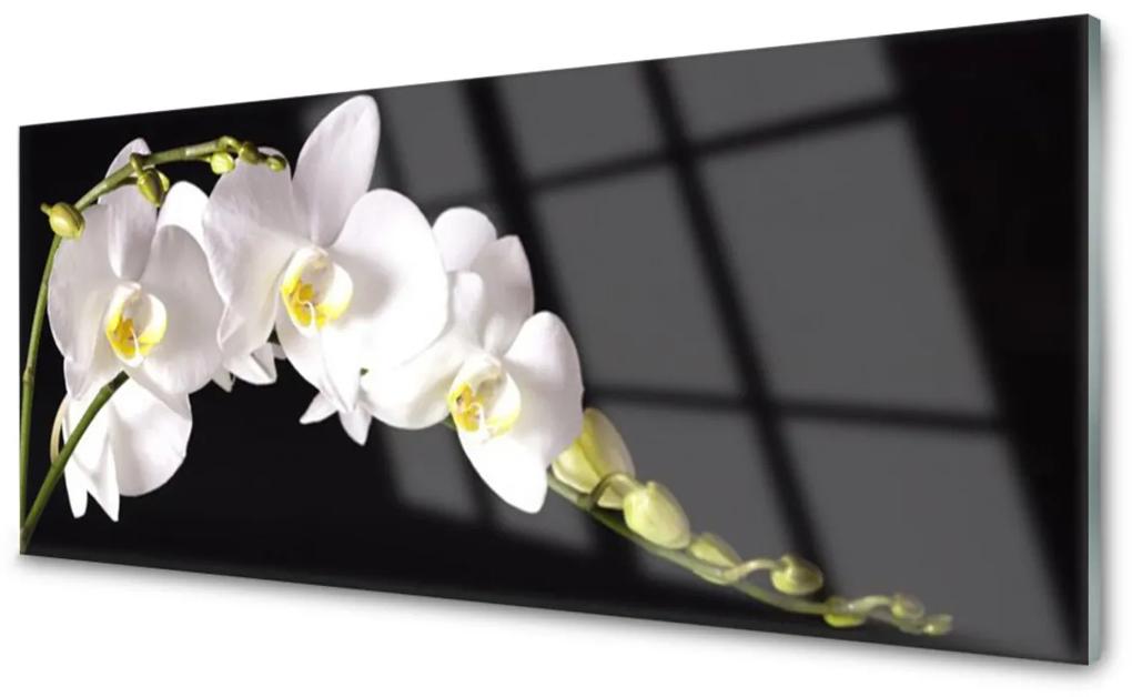 Akrylové obraz Skleněný Květiny Rostlina