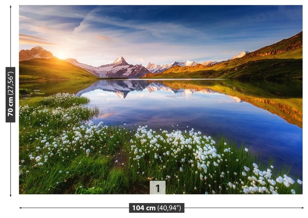 Fototapeta Hora Schreckhorn 104x70