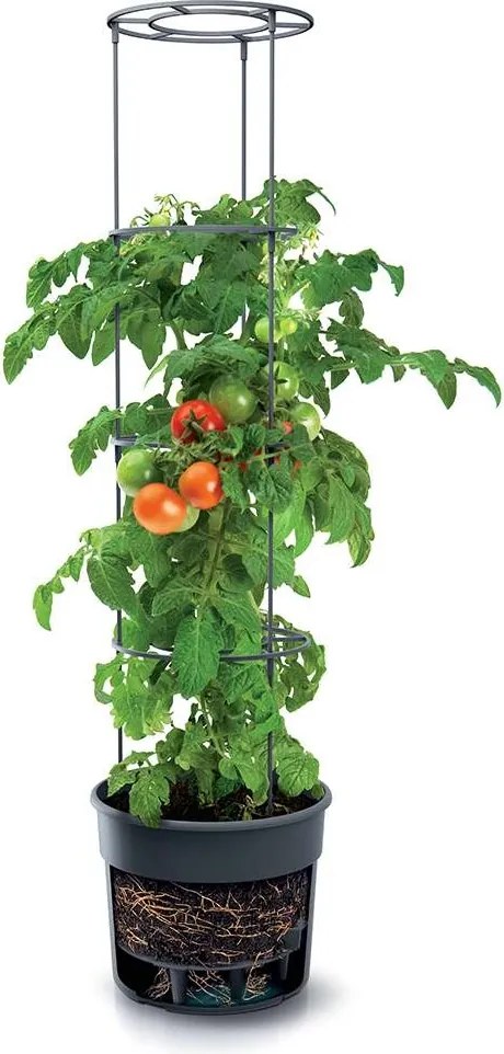 Květináč na pěstování rajčat GROWER antracit