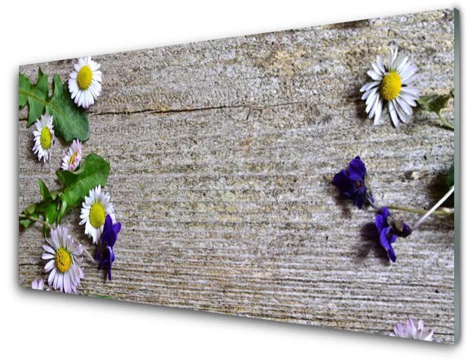 akrylový obraz Sedmikráska Rostlina Příroda 120x60 cm